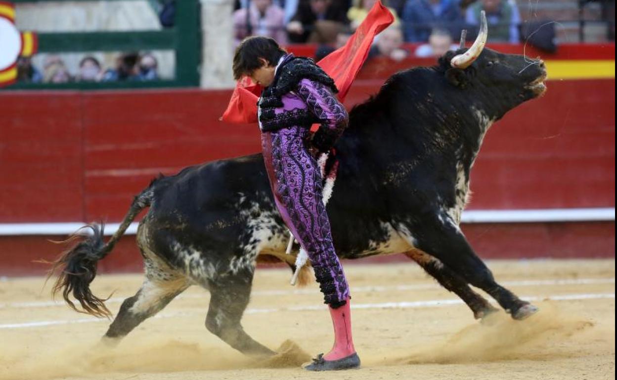 Toros Valencia y Castellón | Ocho toreros harán doblete en la Feria de Fallas y la Magdalena ...